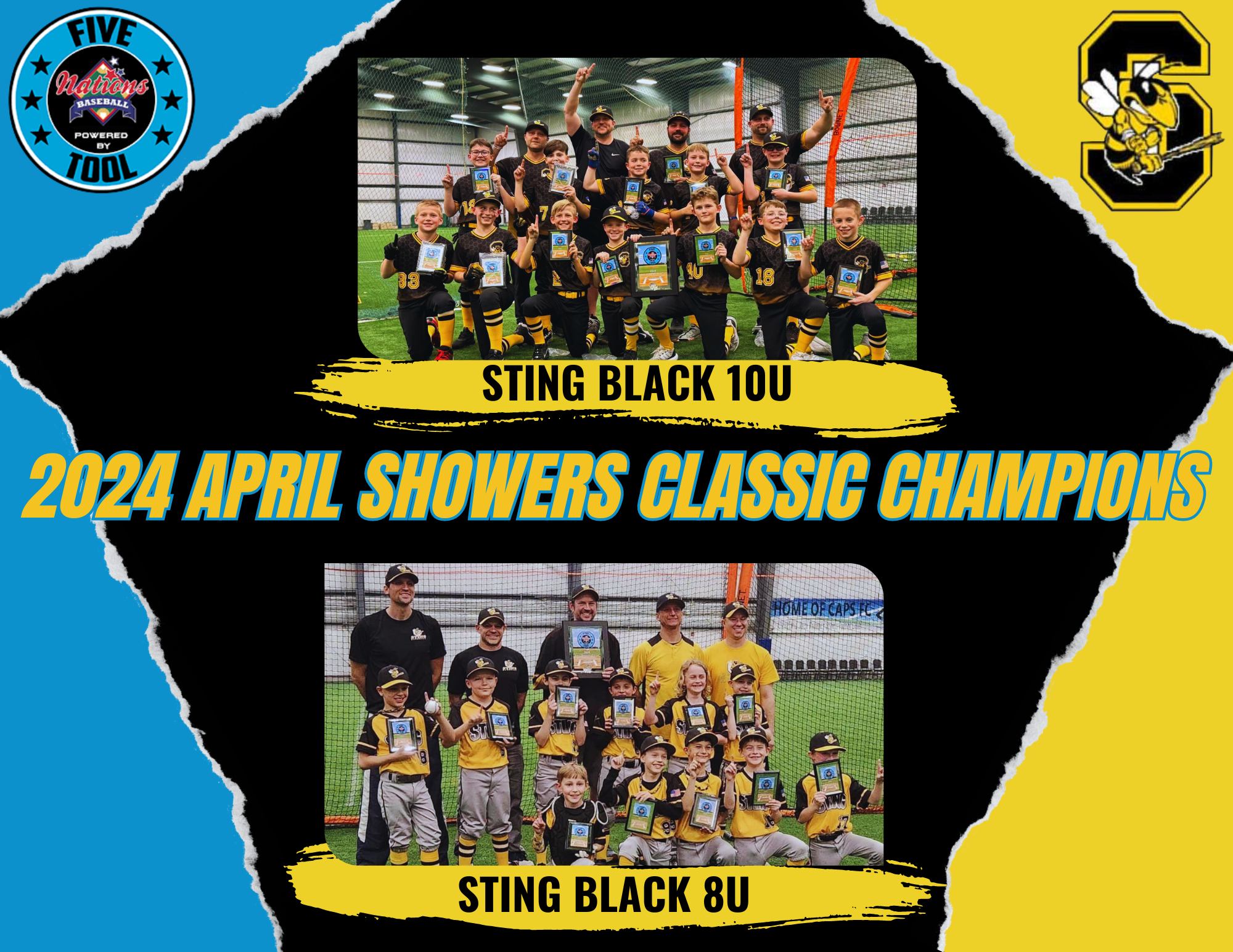 Sting Baseball Club – Developing athletes to prepare for high school ...