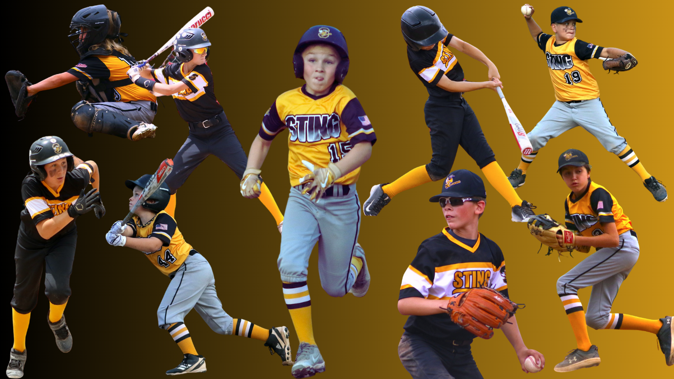Sting Baseball Club – Developing athletes to prepare for high school ...
