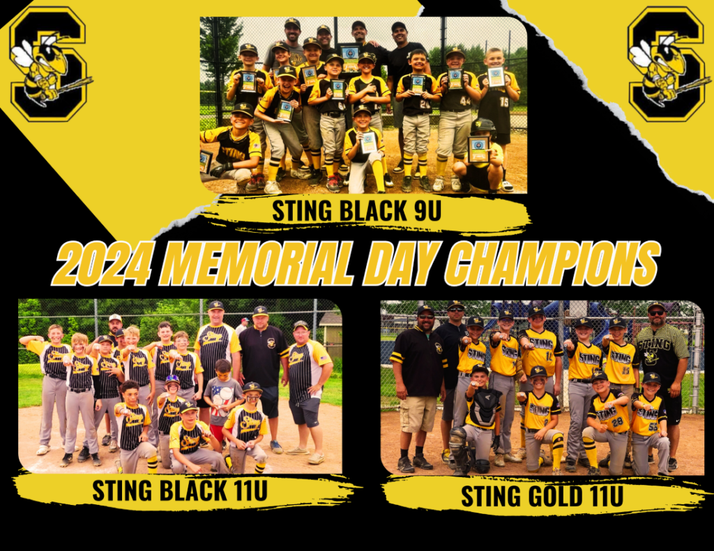 Sting Baseball Club – Developing athletes to prepare for high school ...